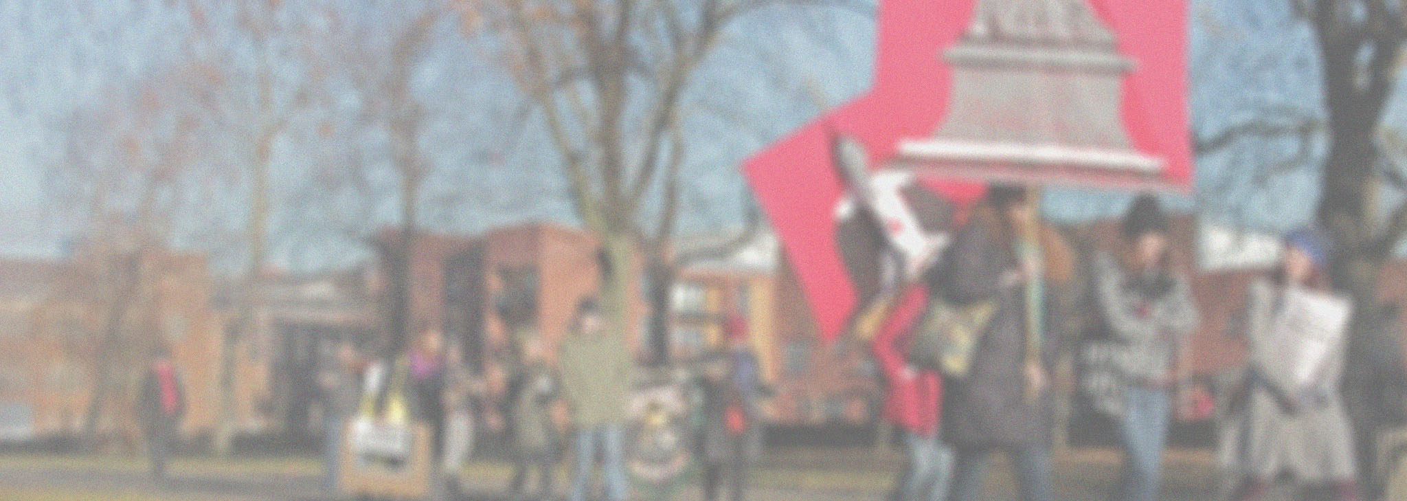 bg-banner